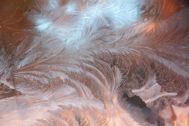 Home - The Society of Catholic Scientists